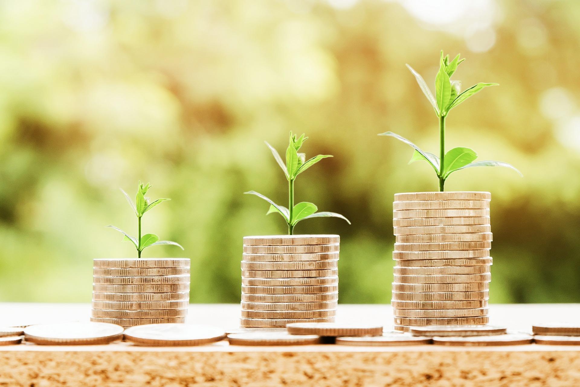 The Difference Between Energy Consumption Measurement and Energy Management | Solvera Lynx